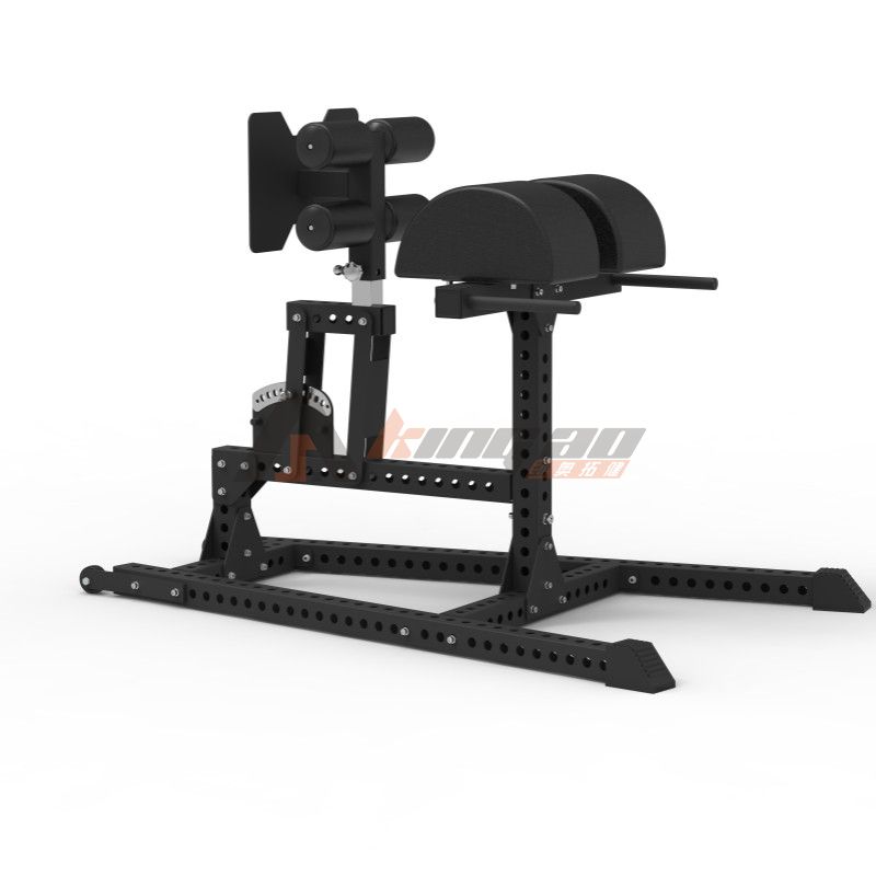 Customized GHD Exercise Machine From Professional Customized Fitness ...