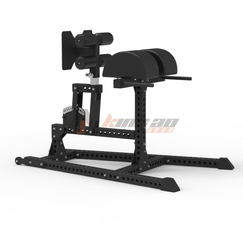 Customized GHD Exercise Machine From Professional Customized Fitness ...