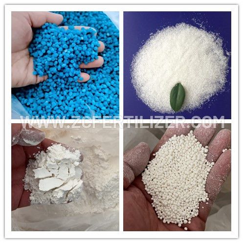 Magnesium Sulfate white crystal powder