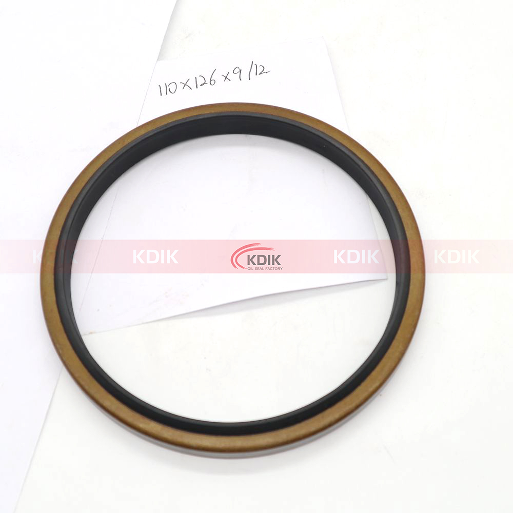 110*126*9/12 Dkb Dust Oil Seal Rubber Seal for Hydraulic Wiper Seal