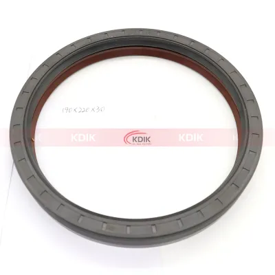 Wg9981340113 190*220*30 Rear Wheel Oil Seal O-Ring Kit for HOWO Truck