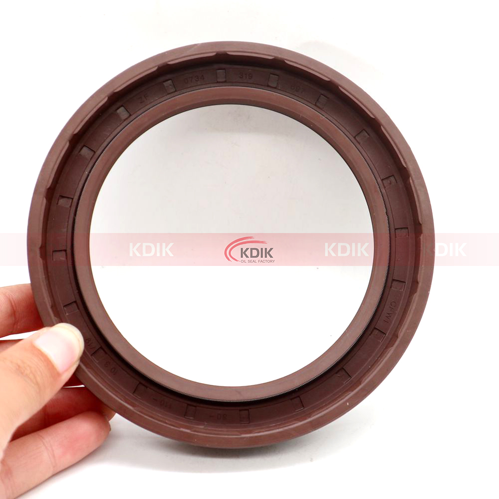 Oil Seal Hydraulic Motors 80*110*10.3/19 Bavislsfx67 FPM Zf 0734319697 ...