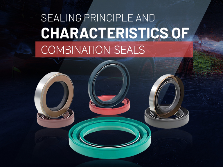 Sealing Principle and Characteristics of Combination Seals
