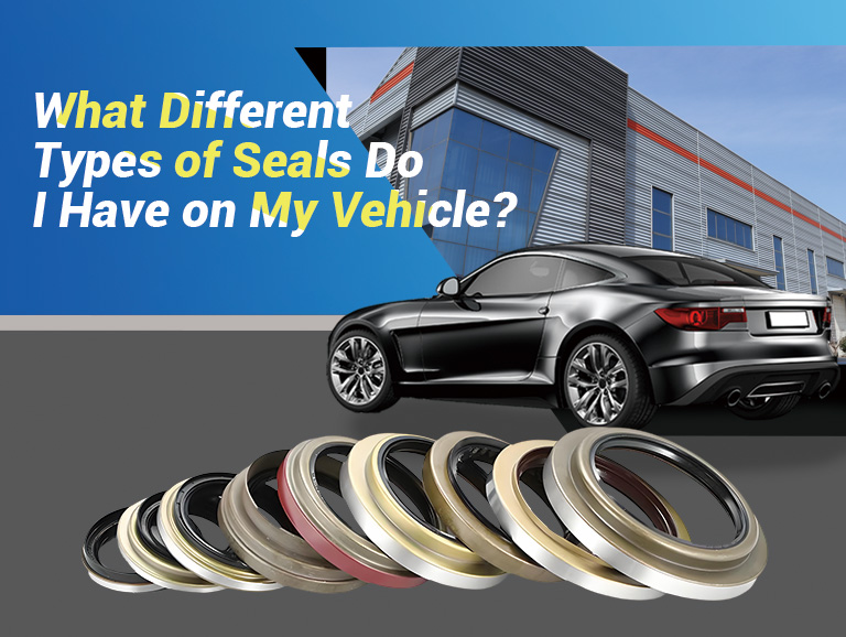 What Different Types of Seals Do I Have on My Vehicle?