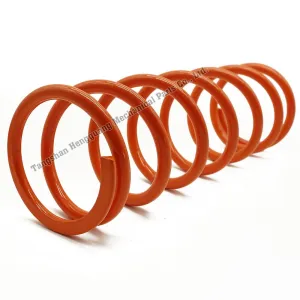 Coil Spring And Shock Absorber