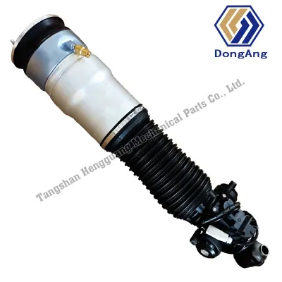 electric Shock Absorber