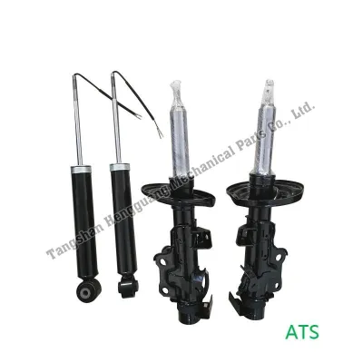 electric Shock Absorber