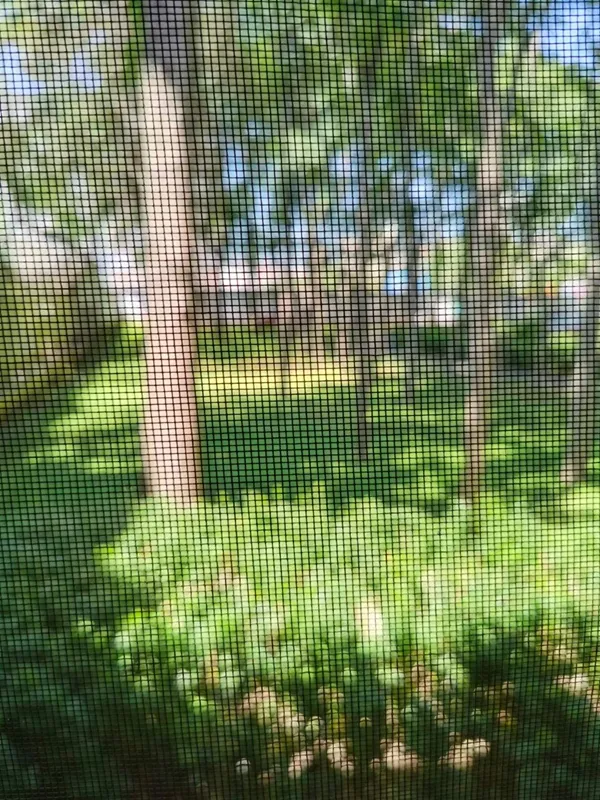 People can't live without window screens.