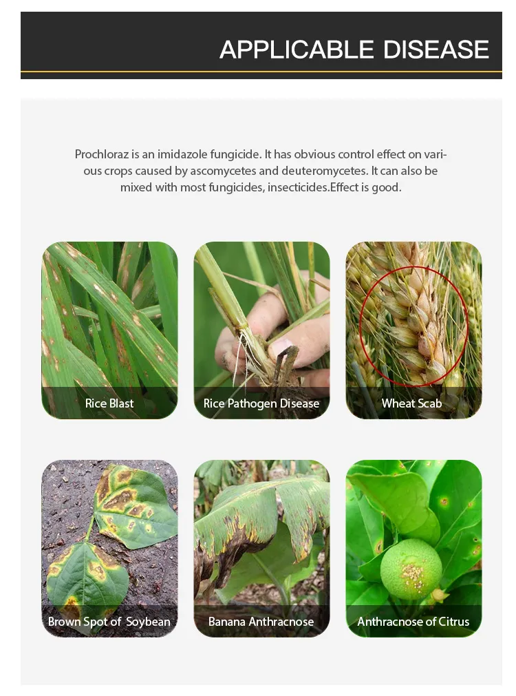 Fungicide Prochloraz 97%TC,450g/L EW, 25%EC