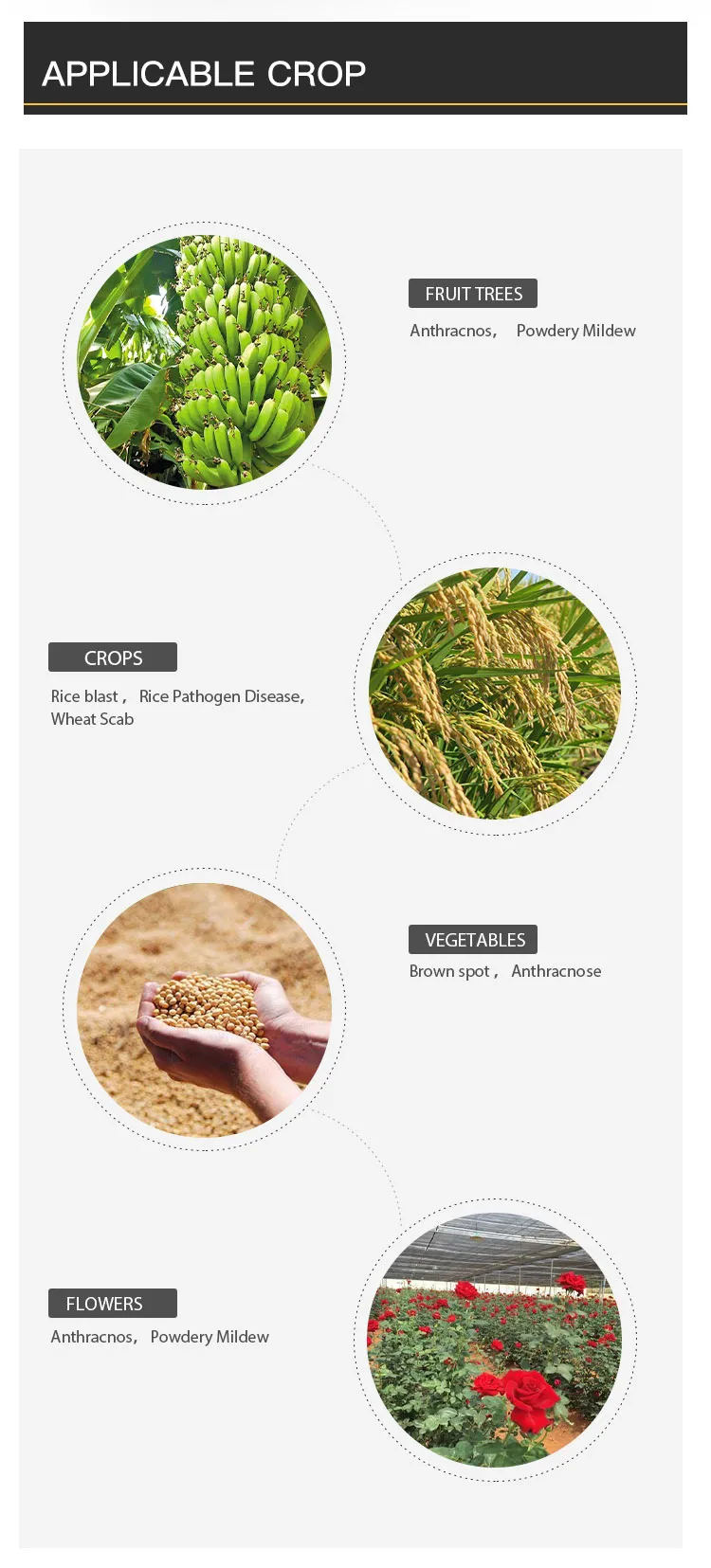 Fungicide Prochloraz 97%TC,450g/L EW, 25%EC