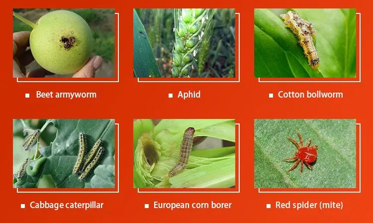 Types of Insecticides