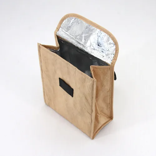 Reusable Insulated Brown Paper Tyvek Lunch Bag