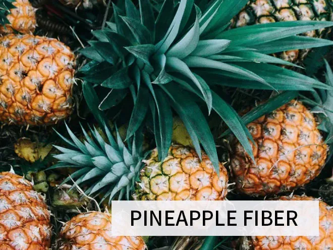 Pineapple Fiber