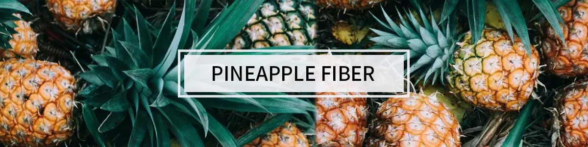 Pineapple Fiber