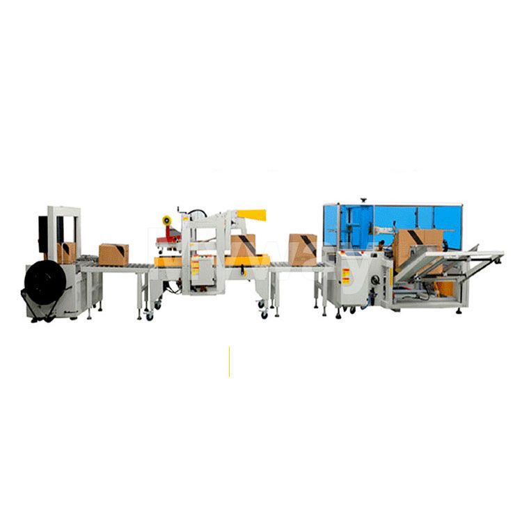 carton case packing line