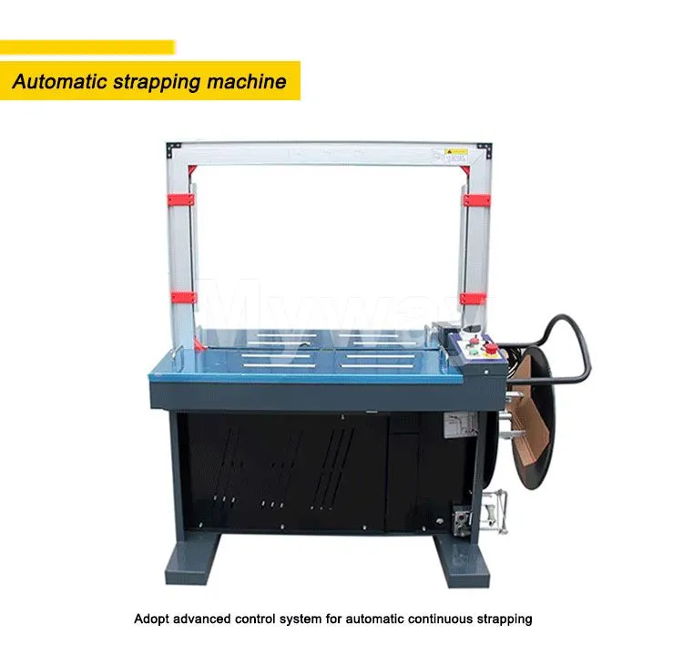 carton case packing line