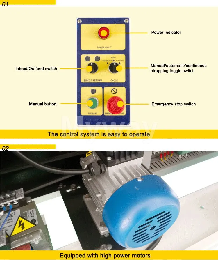 carton case packing line