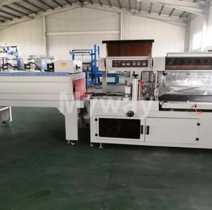 Auto Shrink Wrapping Machine