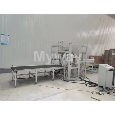 Horizontal Stretch Wrapping Machine with Conveyor Line