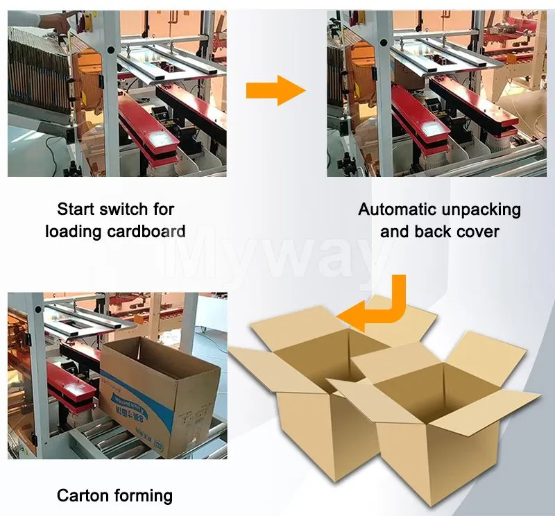 Box Case Erector Machine