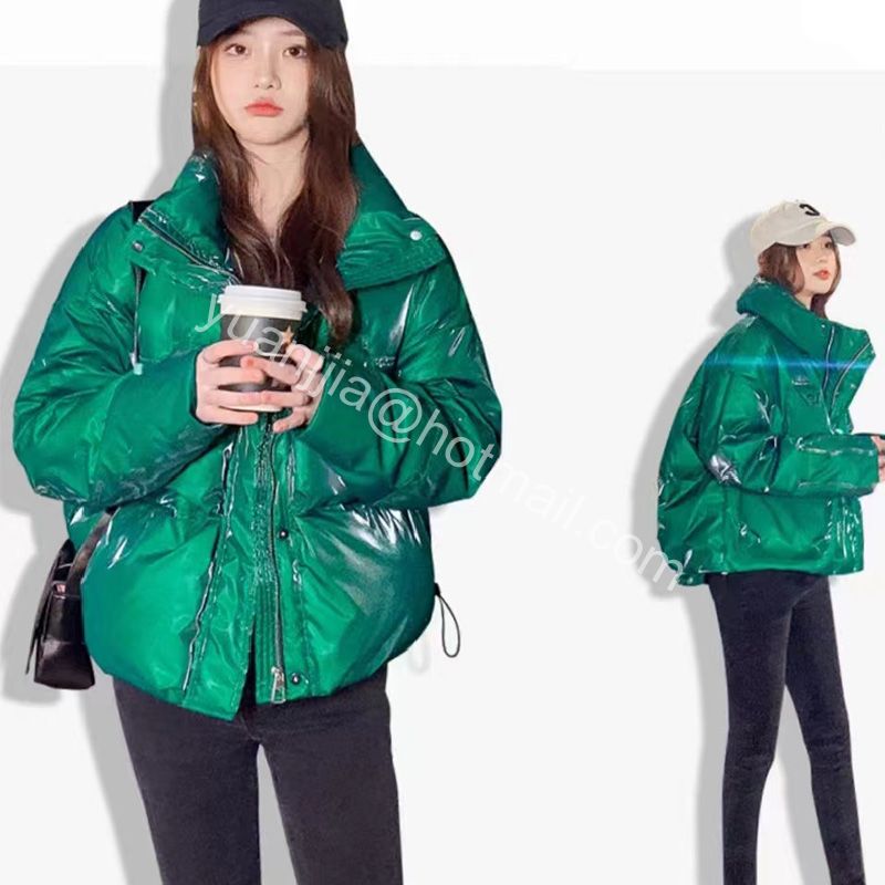 DMX860 Down Jacket Material DMX860 Down Jacket Material
