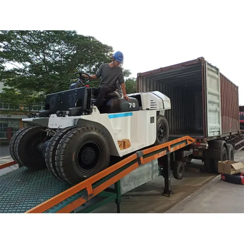 Buy 7 Ton Diesel Forklift TCM Price