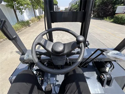 Buy 7 Ton Diesel Forklift TCM Price