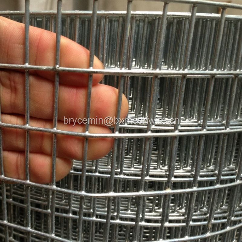 Factory Galvanized Welded Wire Mesh Good Price