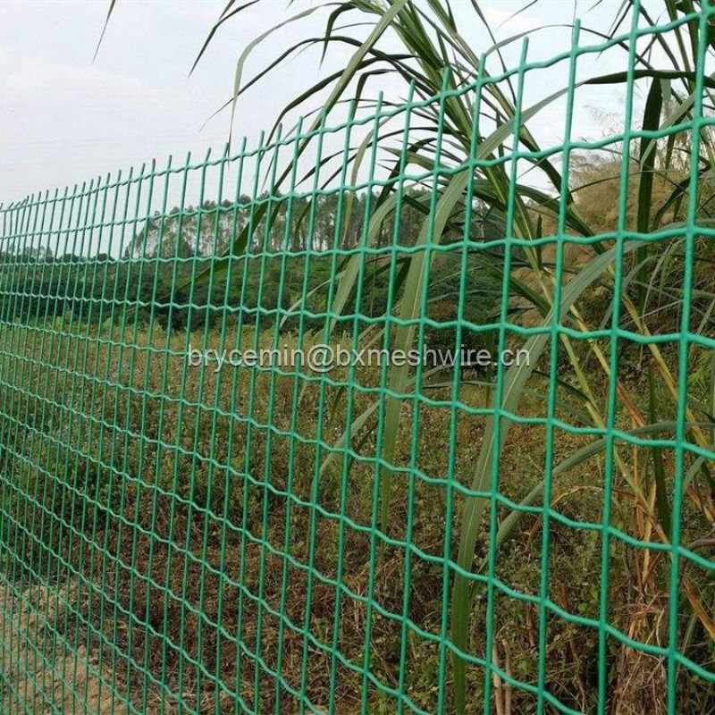 PVC Coated Welded Wire Mesh Wholesale Price
