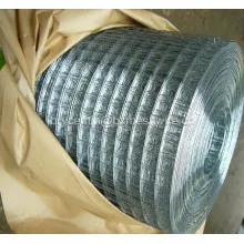 Welded Wire Mesh Rolls for Poultry Netting and Construction Mesh - Boxing Wire Mesh