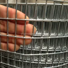 Welded Wire Mesh Rolls for Poultry Netting and Construction Mesh - Boxing Wire Mesh