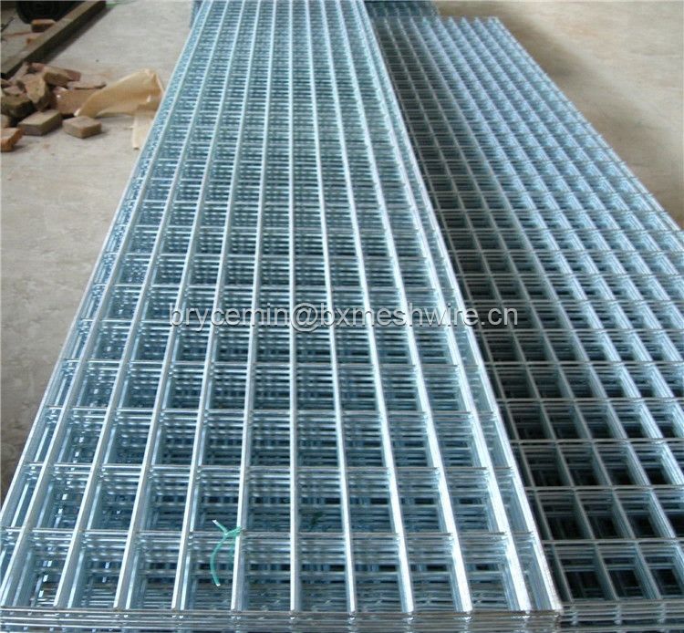 Galvanized Welded Wire Panels 1x2M Size
