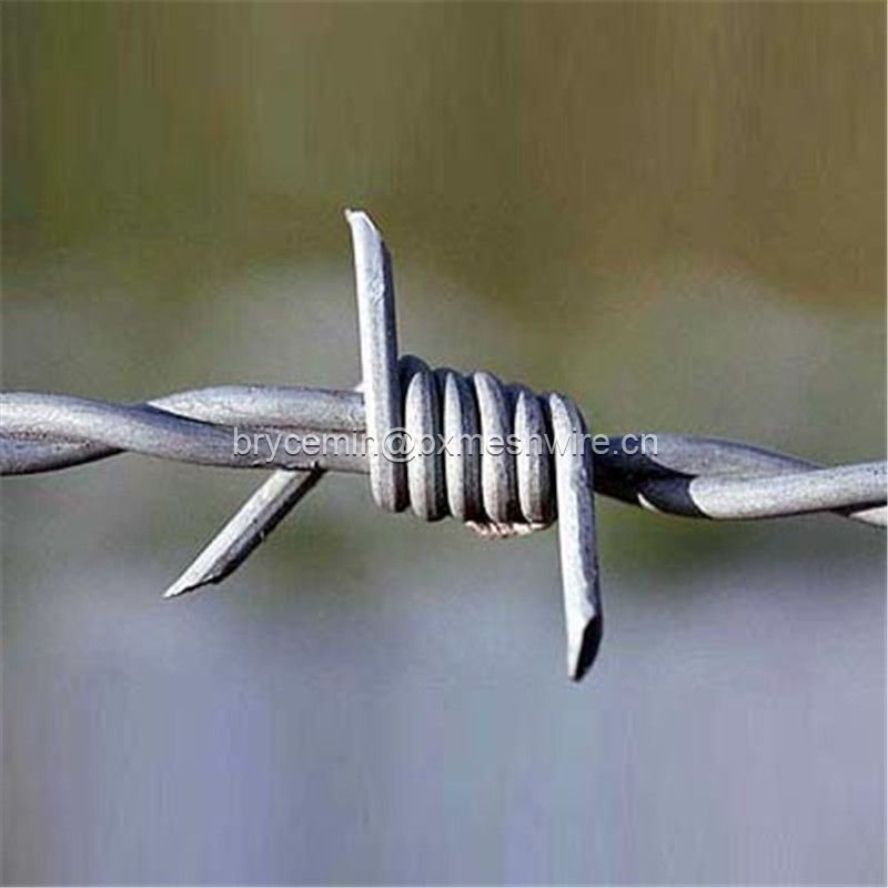 electro galvanized barbed wire