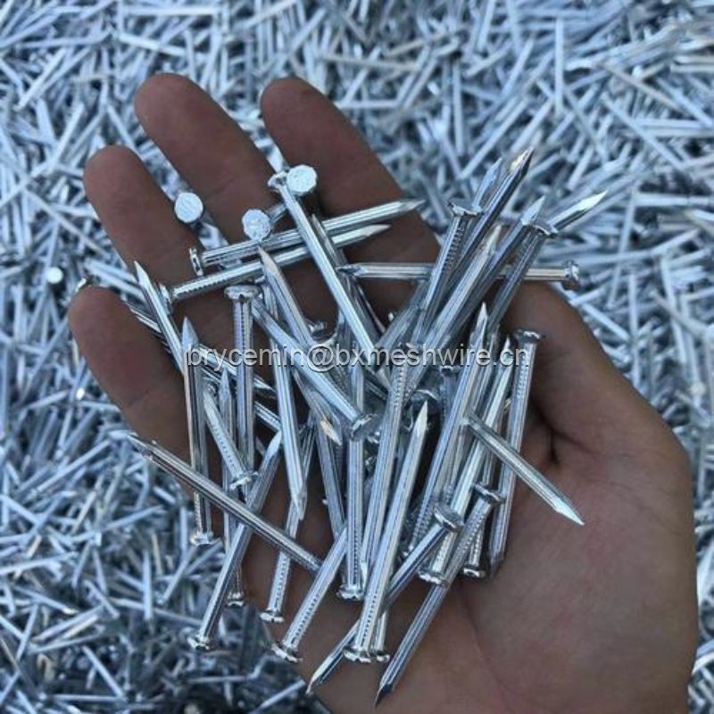 Steel Concrete Cement Nail