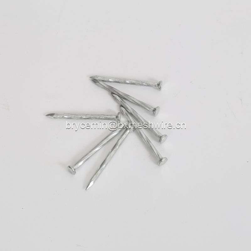 Steel Concrete Cement Nail