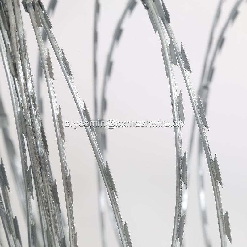 Concertina Galvanized Razor Wire