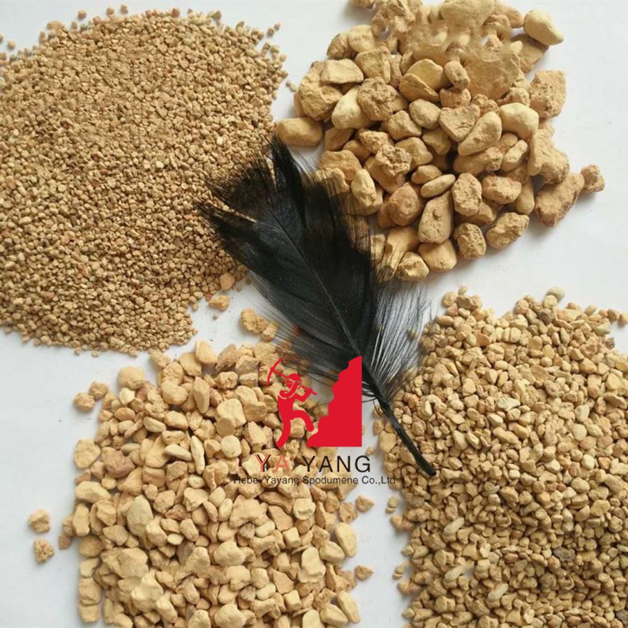 Diatomaceous, Diatomite Filter Aid, Diatomite Particles/Powder (DE ...