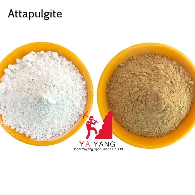 Attapulgite (palygorskite) Powder/Clay