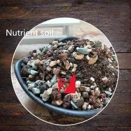 Nutritional soil