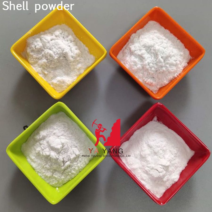 Shell powder