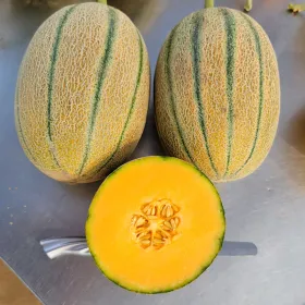 Ananas Melon Varieties seeds