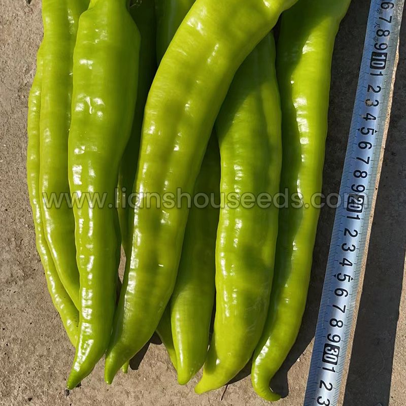 Green Horn Shape Hot Pepper Seeds