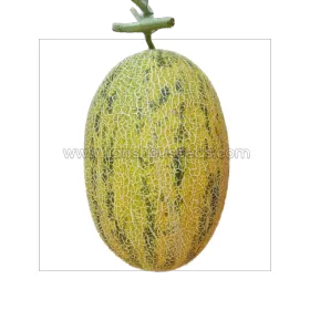Hami Melon Varieties seeds