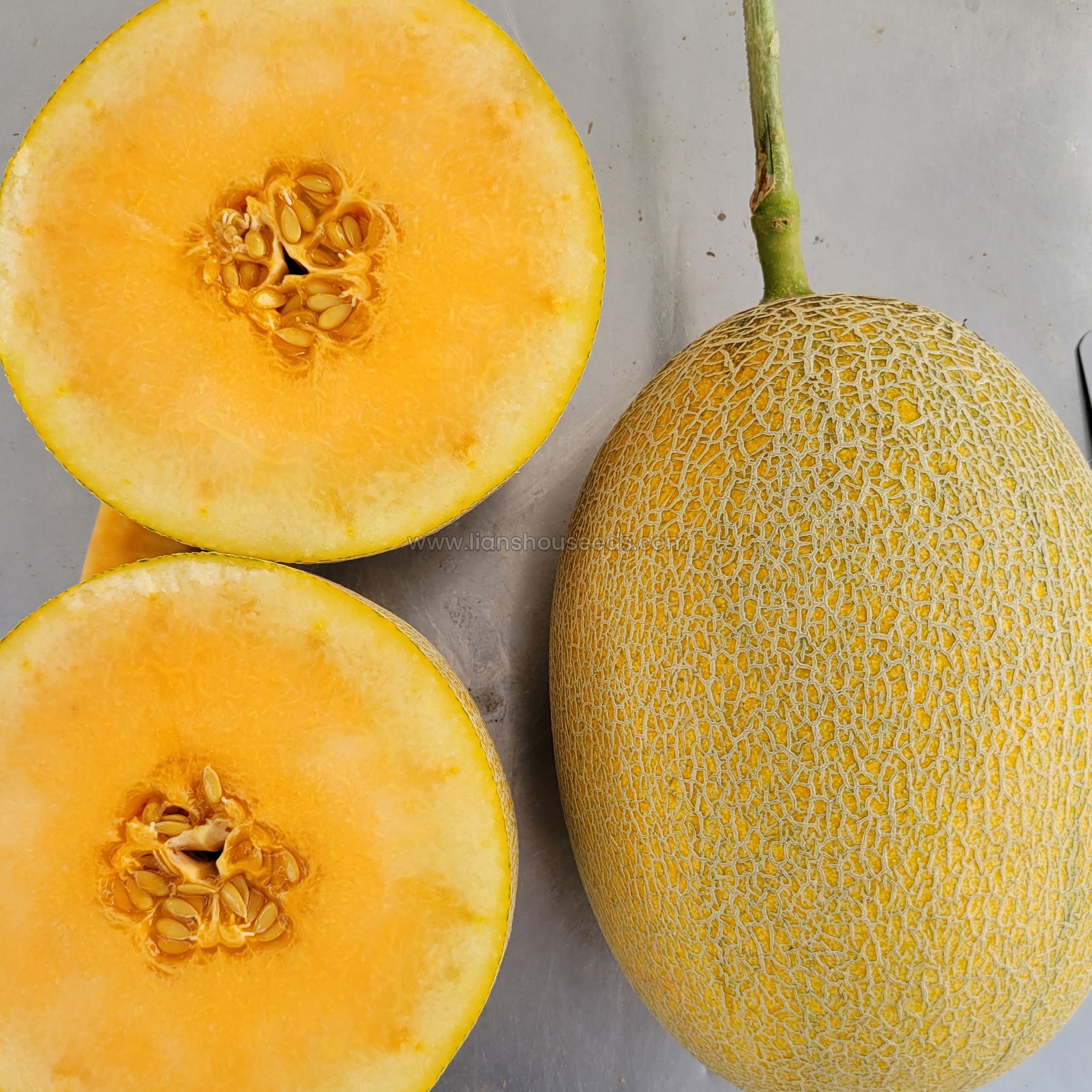 M656 Orange Big Firm Ananans Melon Variety