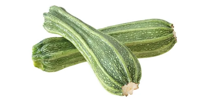 What kinds of squash are there? Introduction of high-quality squash ...