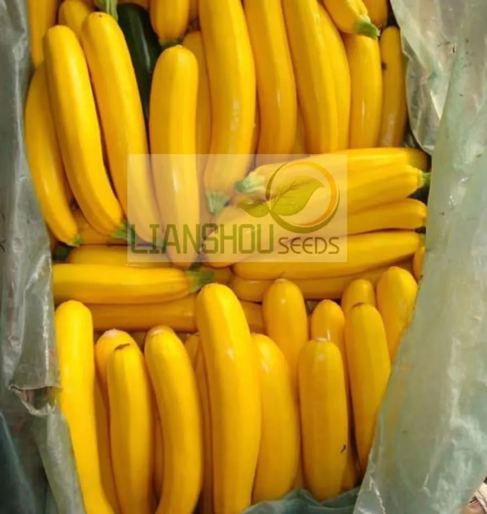 "Banana squash" can be eaten as both a fruit and a vegetable. It is ...