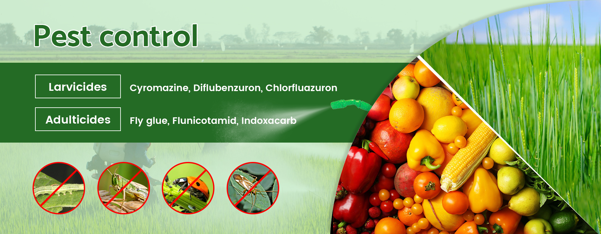 Household Insecticide, Larvicides Manufacturer