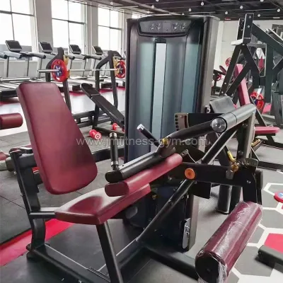 Seated Leg Extension