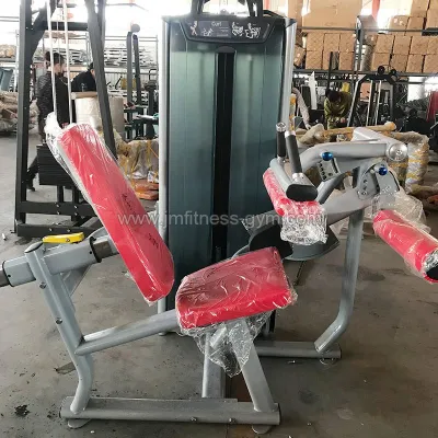 Seated Leg Extension