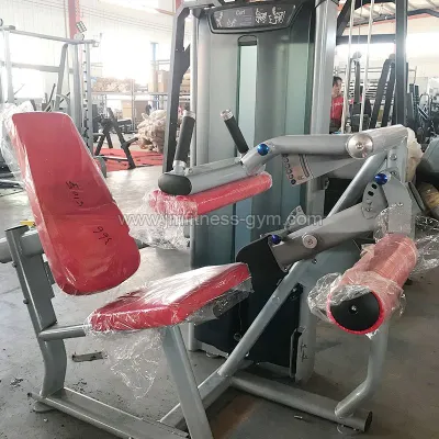 Seated Leg Extension